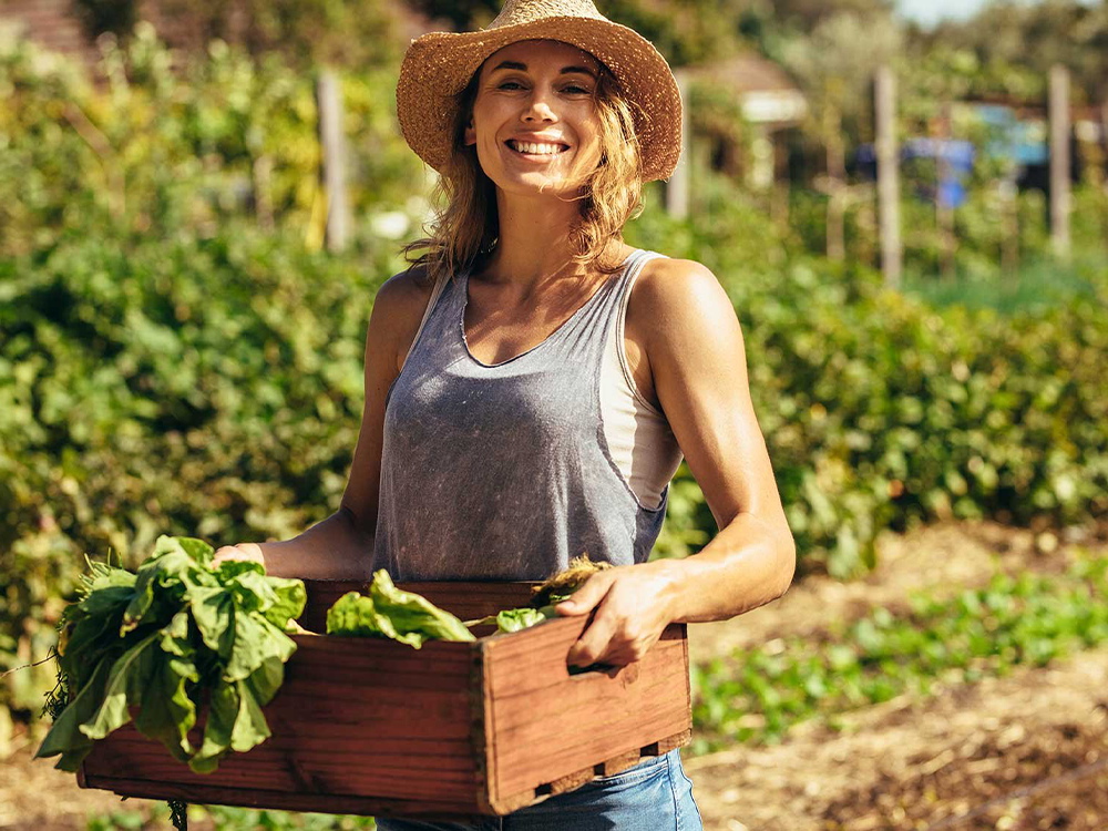 Grabit - Multipurpose eCommerce HTML Template.